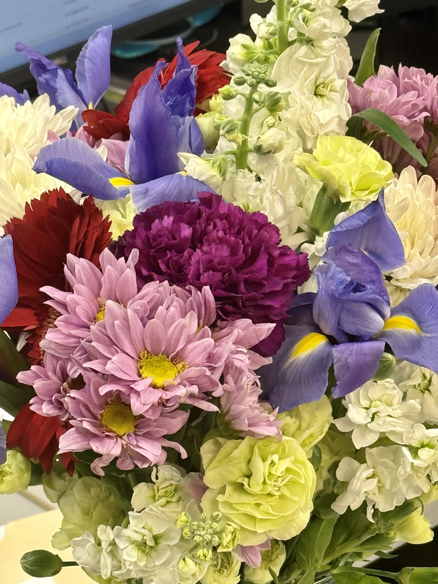 Sing spring sing, sing the hope you bring – Lyrics, Sentiments and Me